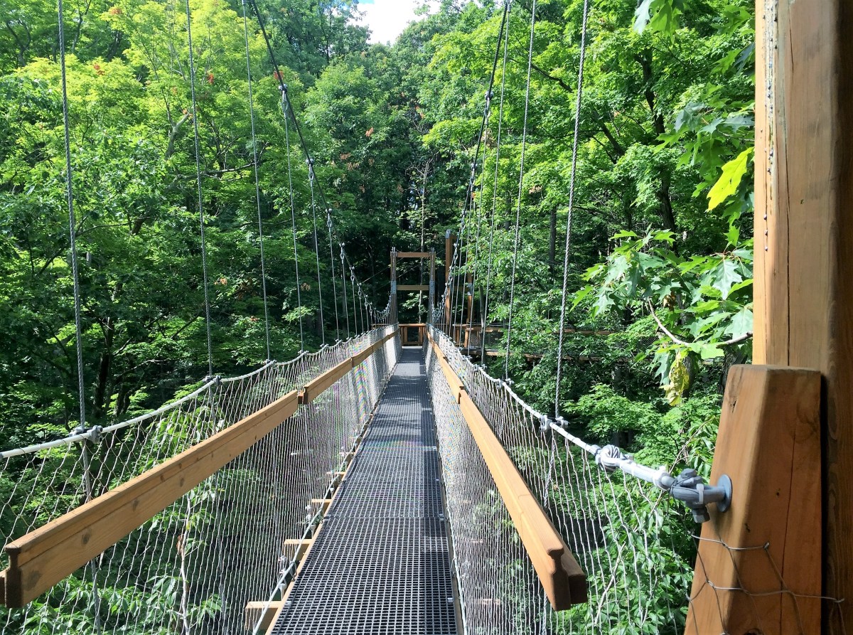 How to Deal With Our Loved One’s Not Here-ness #bloglikecrazy – Alice ...