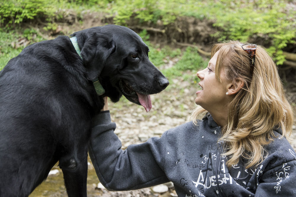 How Dedicating Yourself to Writing is Like Owning a Dog. – Alice in ...